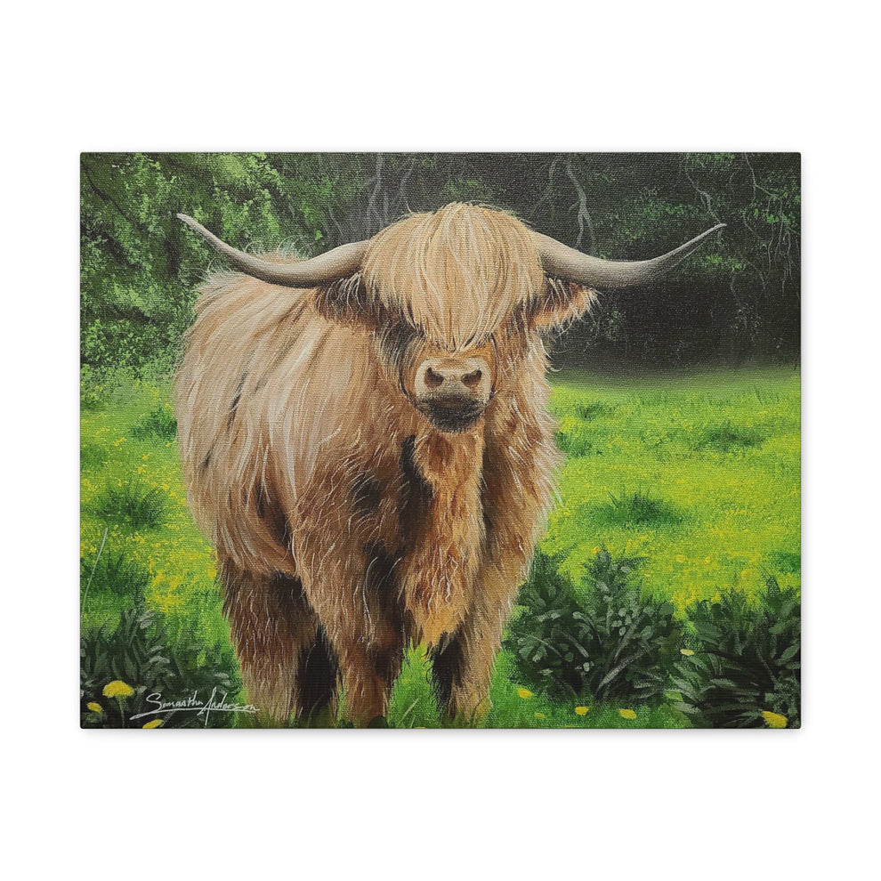 Highland Cow - Classic Canvas – Samantha Anderson Artist